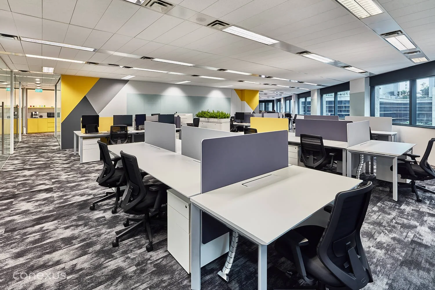 Brunel Singapore | Office Design & Build | ⚫⚪ Conexus Studio