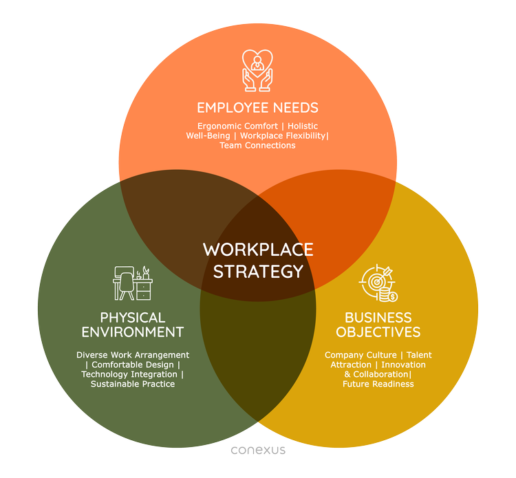 Optimising Your Office : Workplace Strategy & Design | ⚫⚪ Conexus Studio