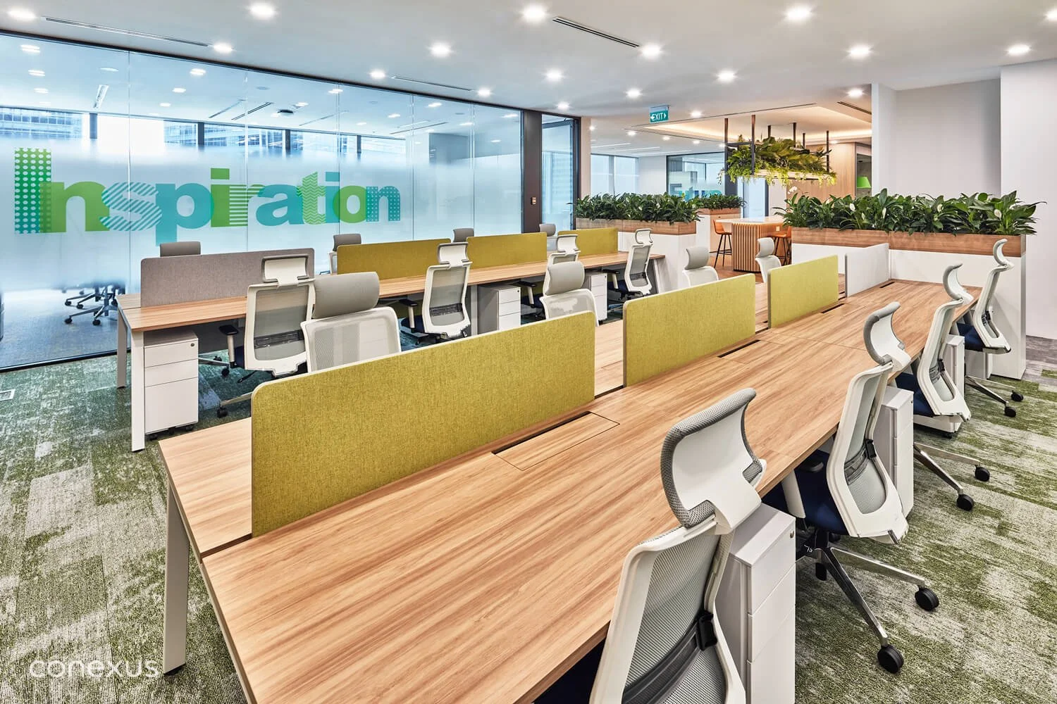 Strategic Office Space Planning | ⚫⚪ Conexus Studio