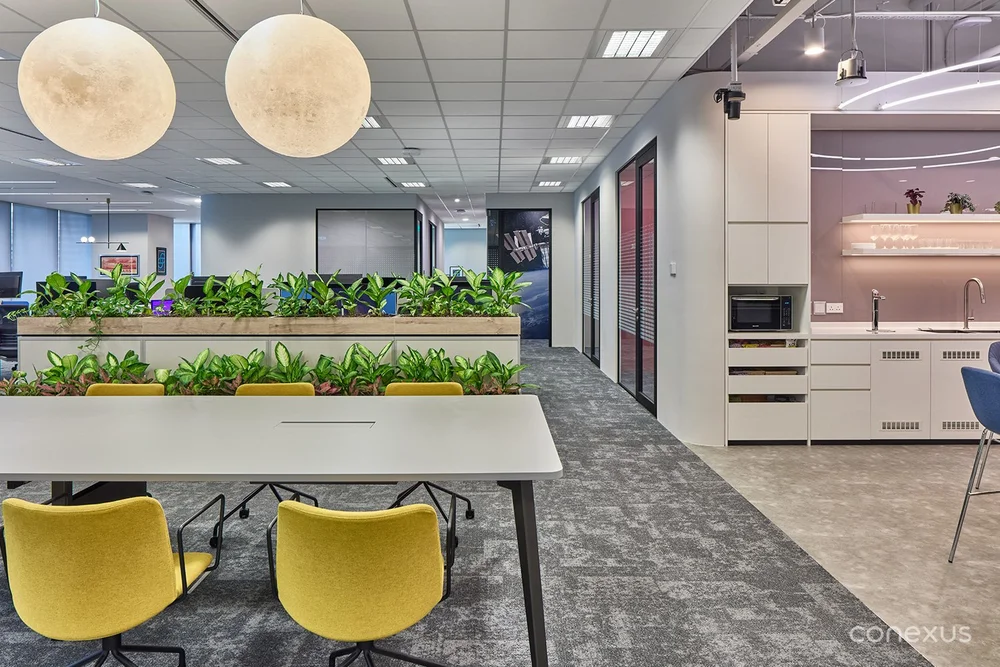 Gemini | Office Design & Build | ⚫⚪ Conexus Studio