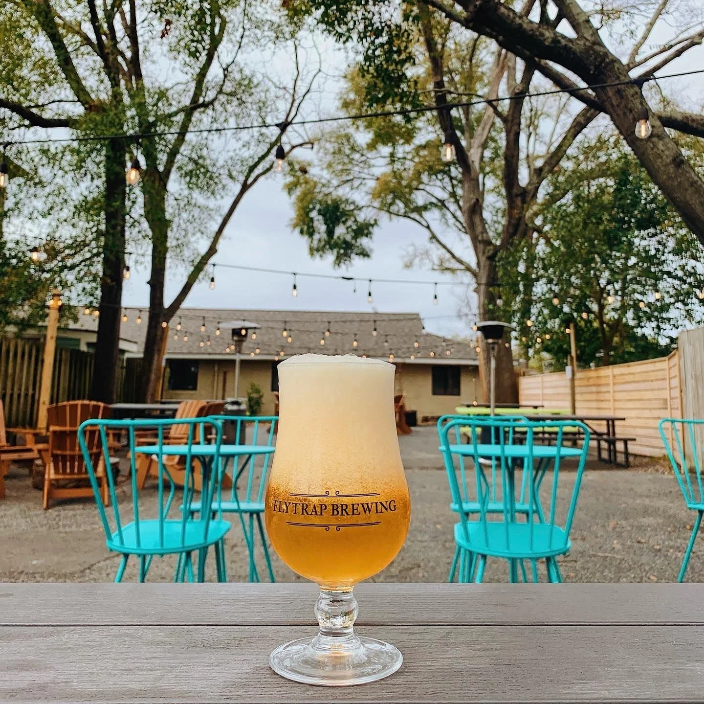 Merchandise/Gift Card — Flytrap Brewing