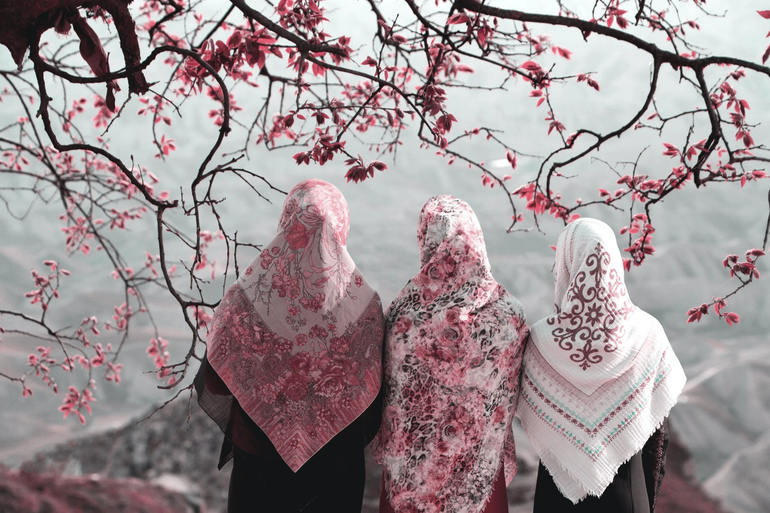 The Rights of Women in Islam — A Complete Guide — The Muslim Network