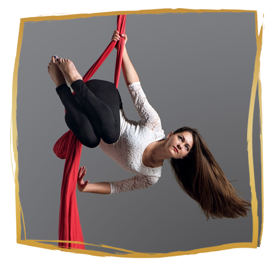 Adult Classes — The Aerial Loft