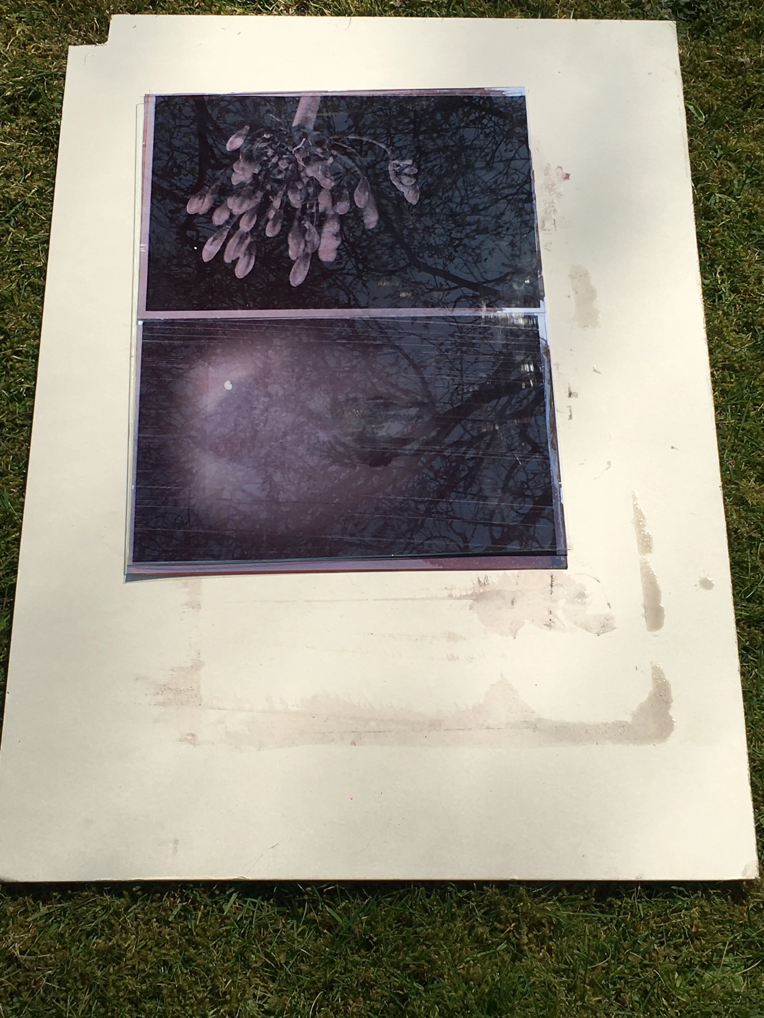 Salt printing, an old method of contact printing photographic ...
