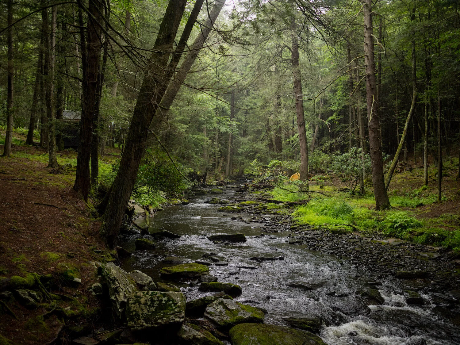 Beaver Brook | Hudson Valley Real Estate