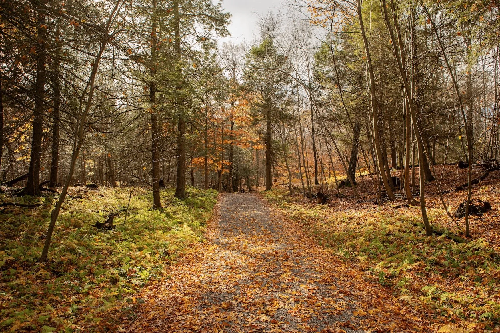 The Nine-Square House | Hudson Valley Real Estate