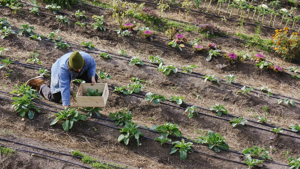 Farm Directory — Mendocino County Local Food Guide