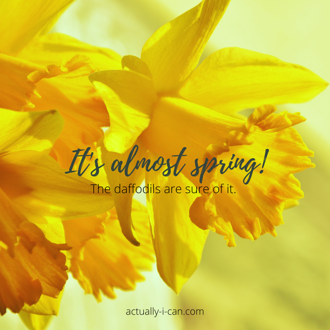 It's almost spring — Actually I Can