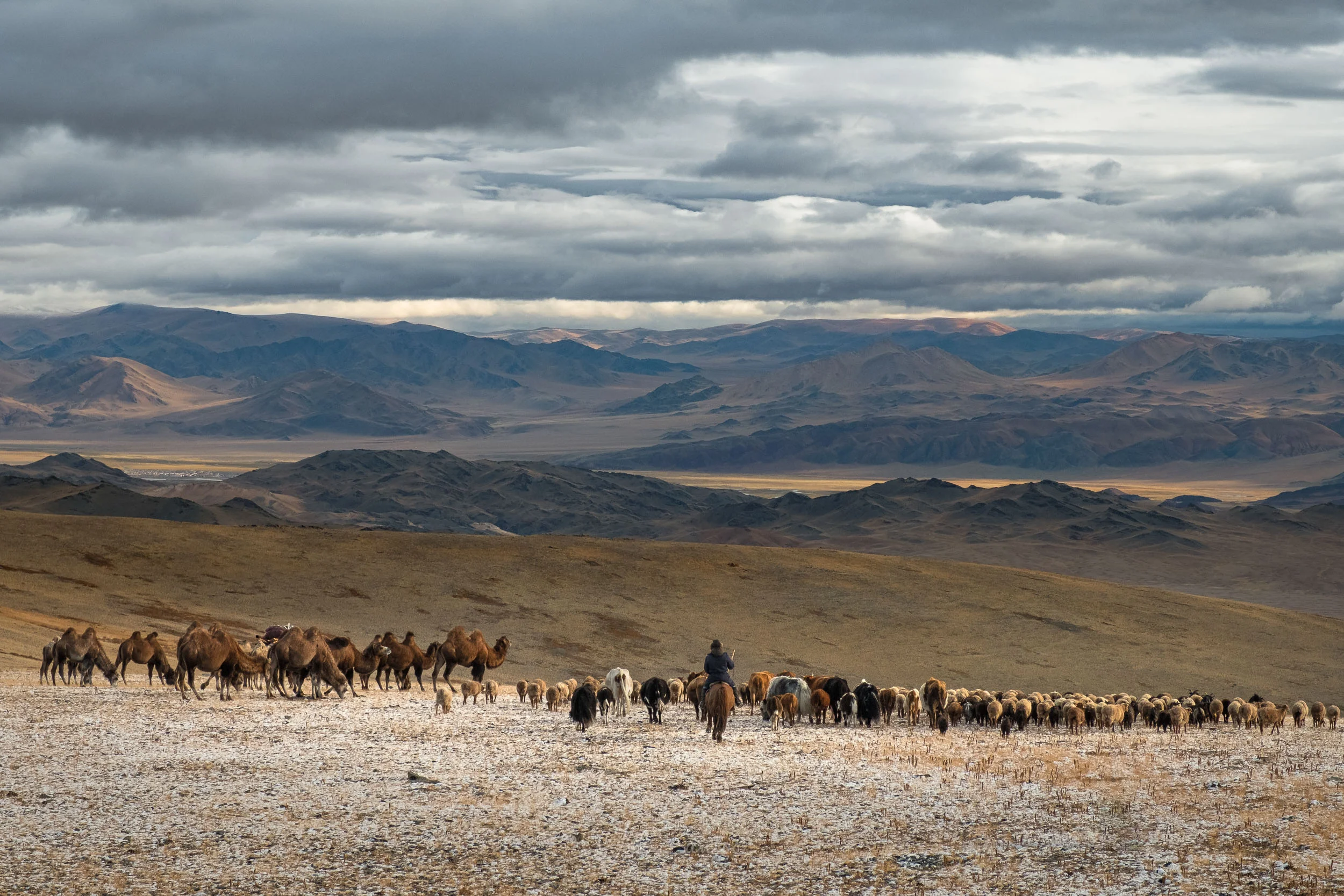 Eagle Hunters, The Tsaatan and Nomad Migration (Mongolia) — Joel Santos ...