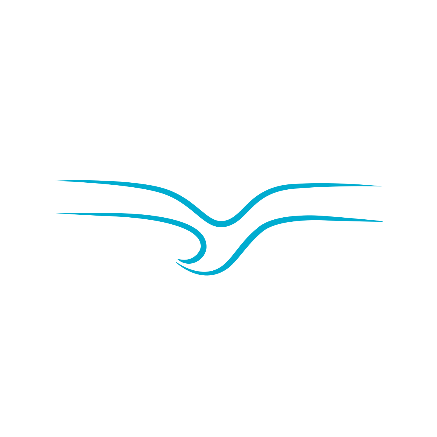 Dipping Spoon Foundation