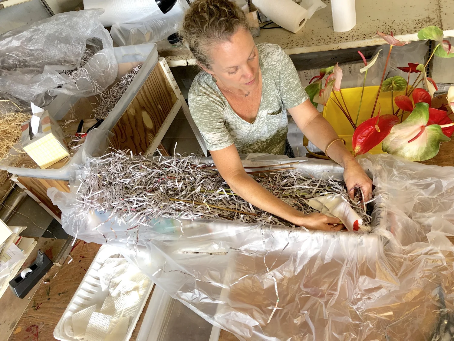 Hawaiian Anthurium Ordering & Delivery FAQ — Always Anthuriums