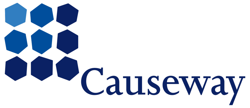 Spotlight on Steven Nguyen, Fundamental Portfolio Manager, Causeway ...
