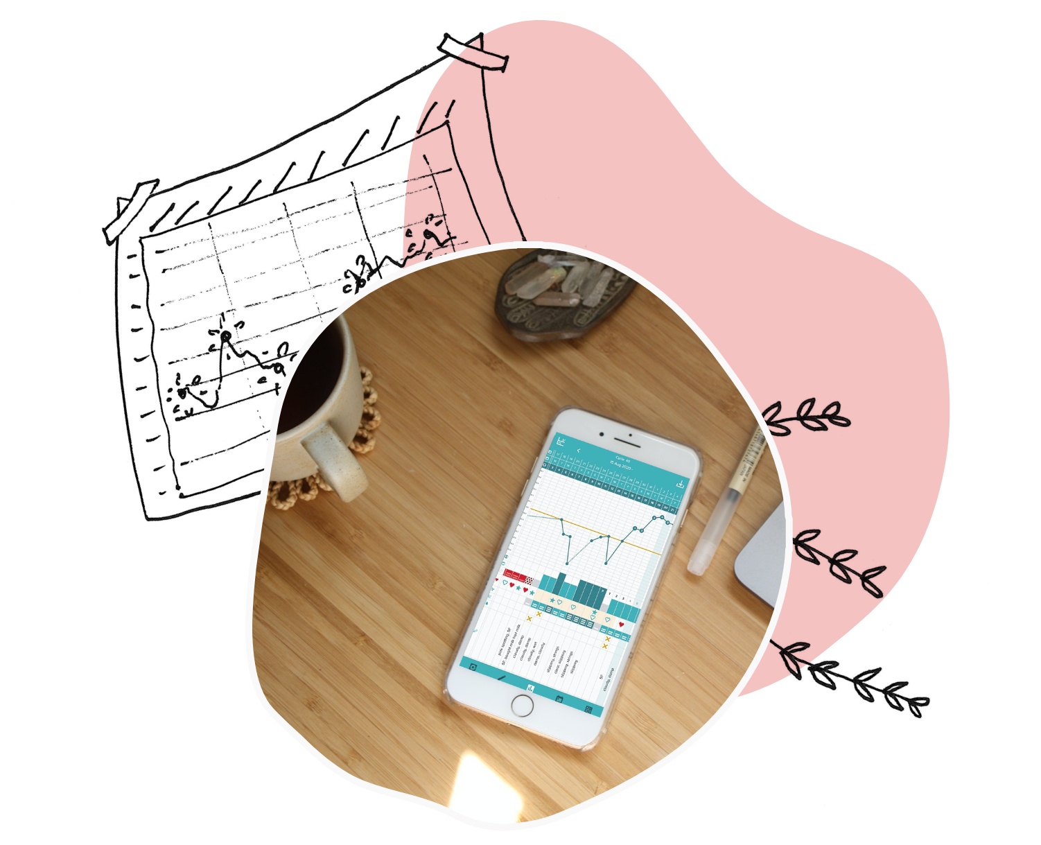 How To Start Charting Your Cycle — Fertility Awareness Project