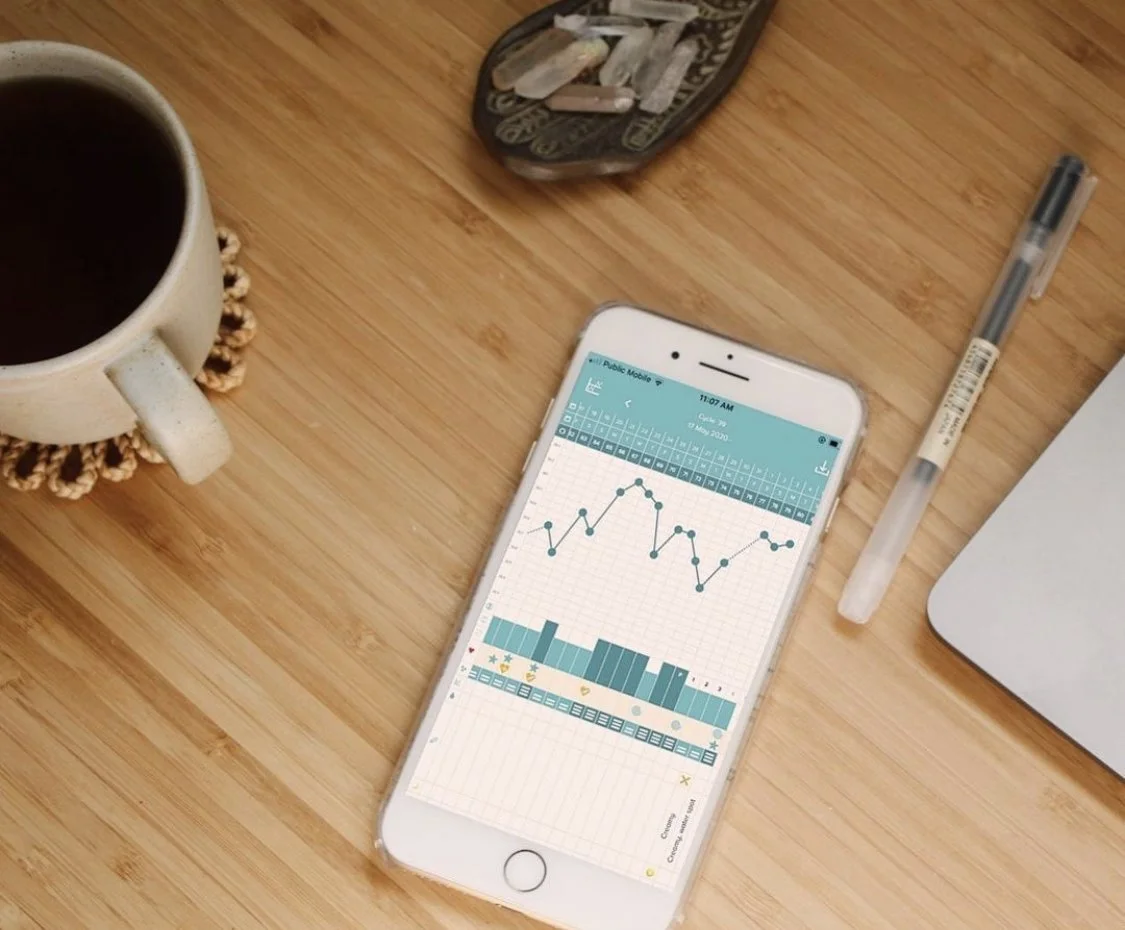 Cervical mucus, what's normal and what’s not? — Fertility Awareness Project