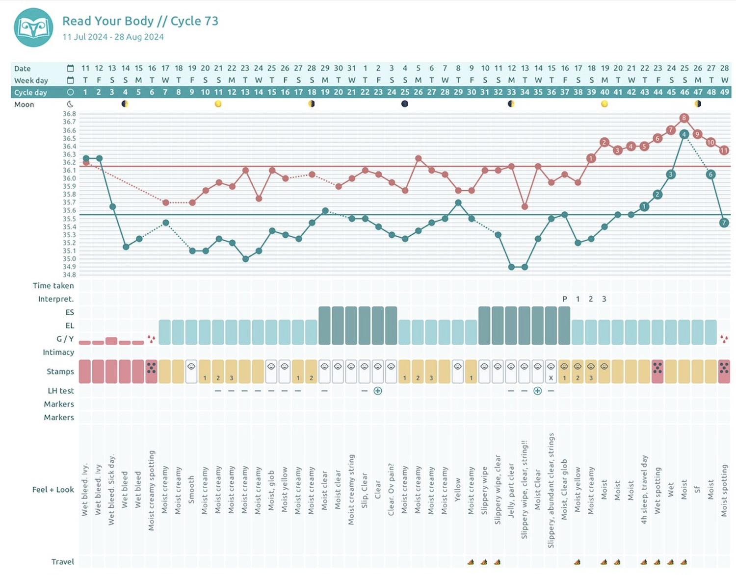 Interpreting your cycle with PCOS: A Fertility Awareness Guide ...