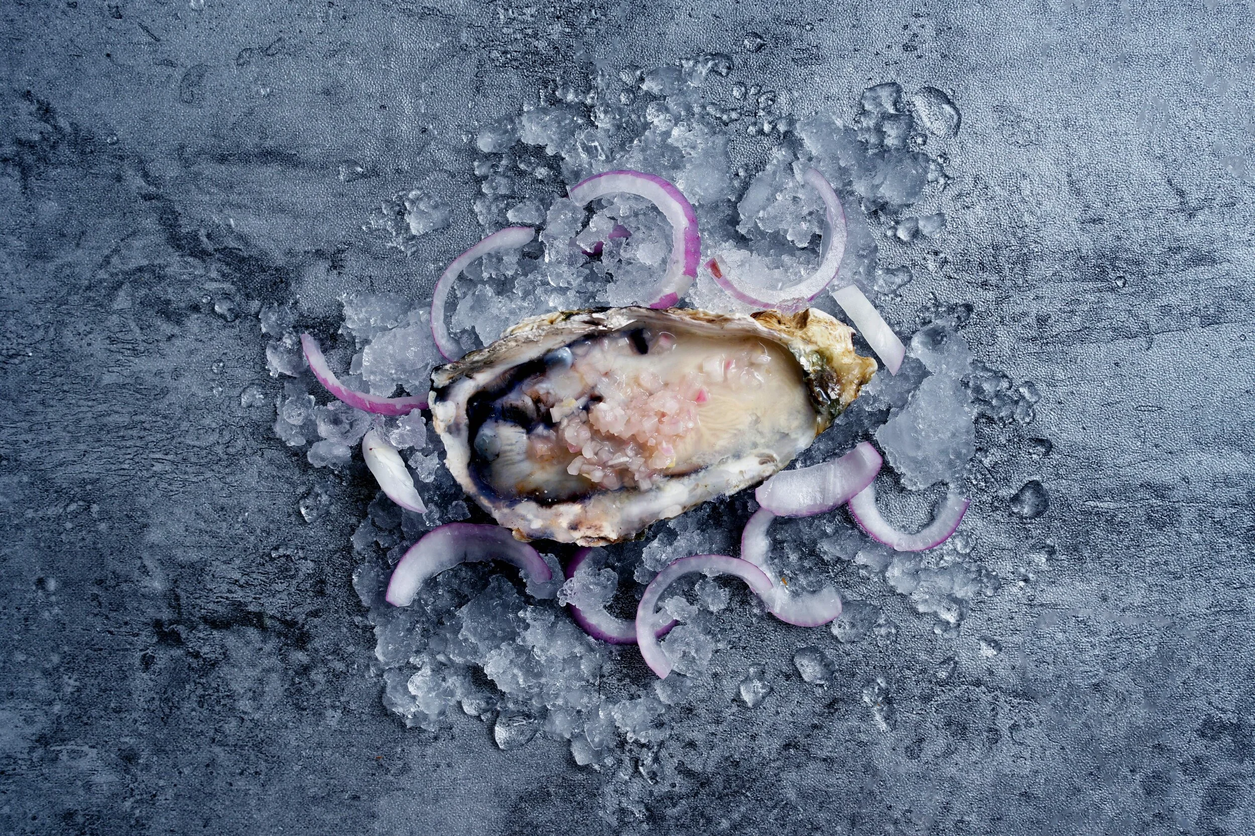 MENU — THE OYSTER BANK