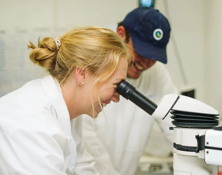 Our Technology — Oxitec