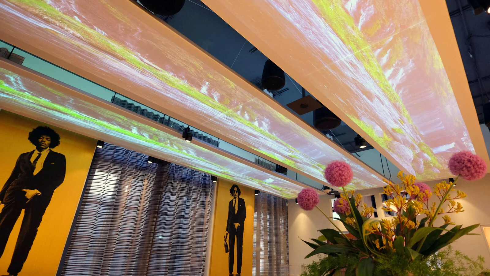 COMMERCIAL — Tali Oren Design