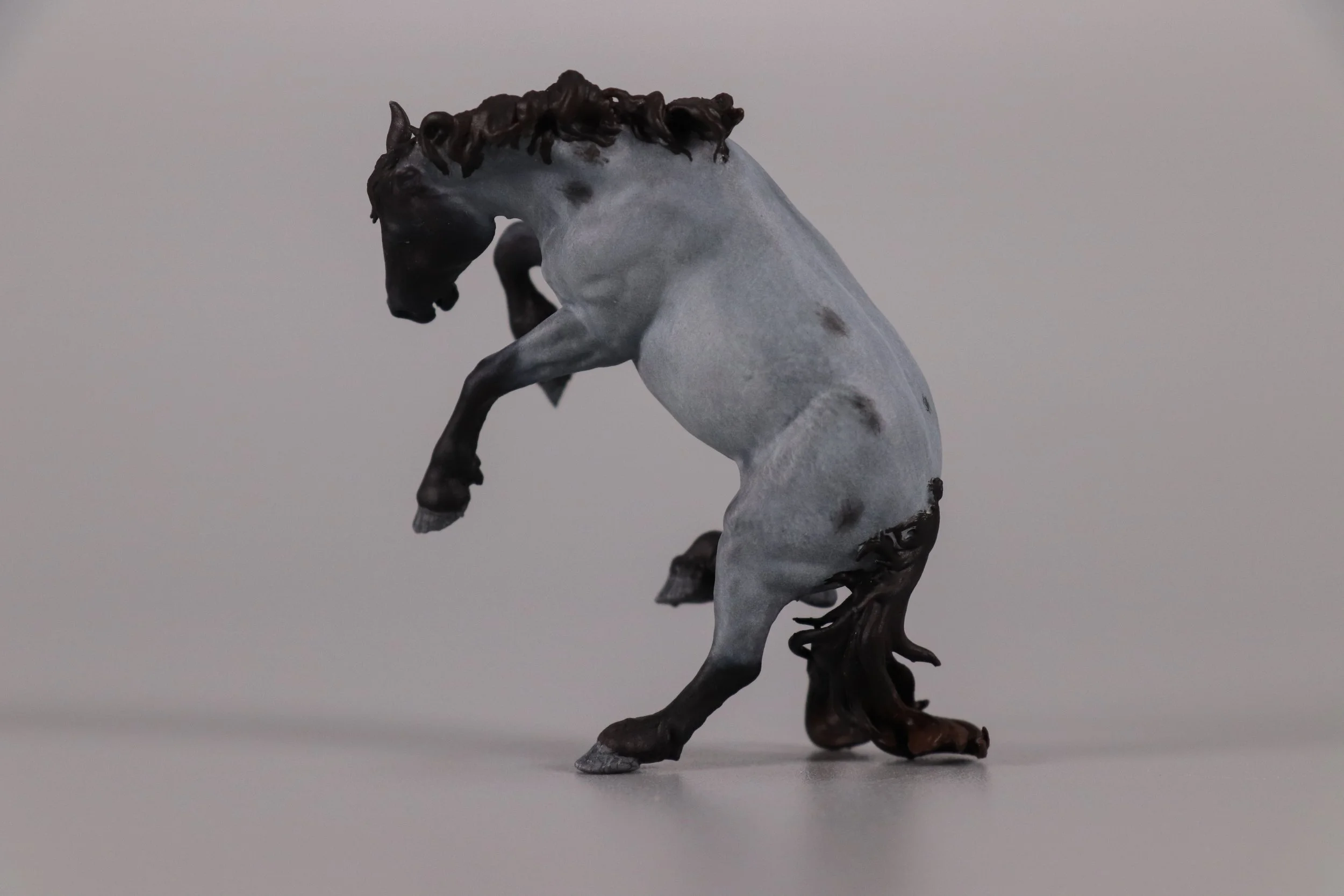 Roan — Otherworld Stables