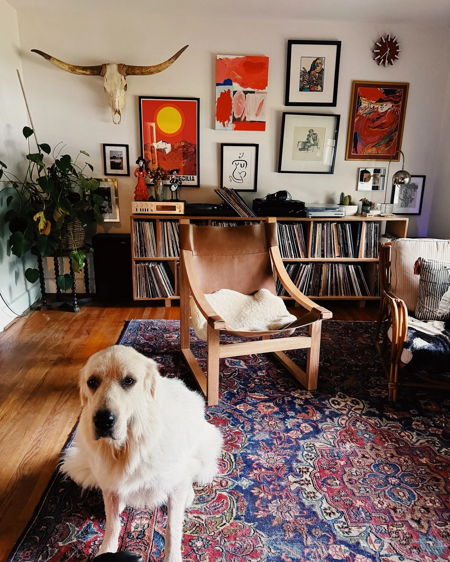 Meredith Walker Studio