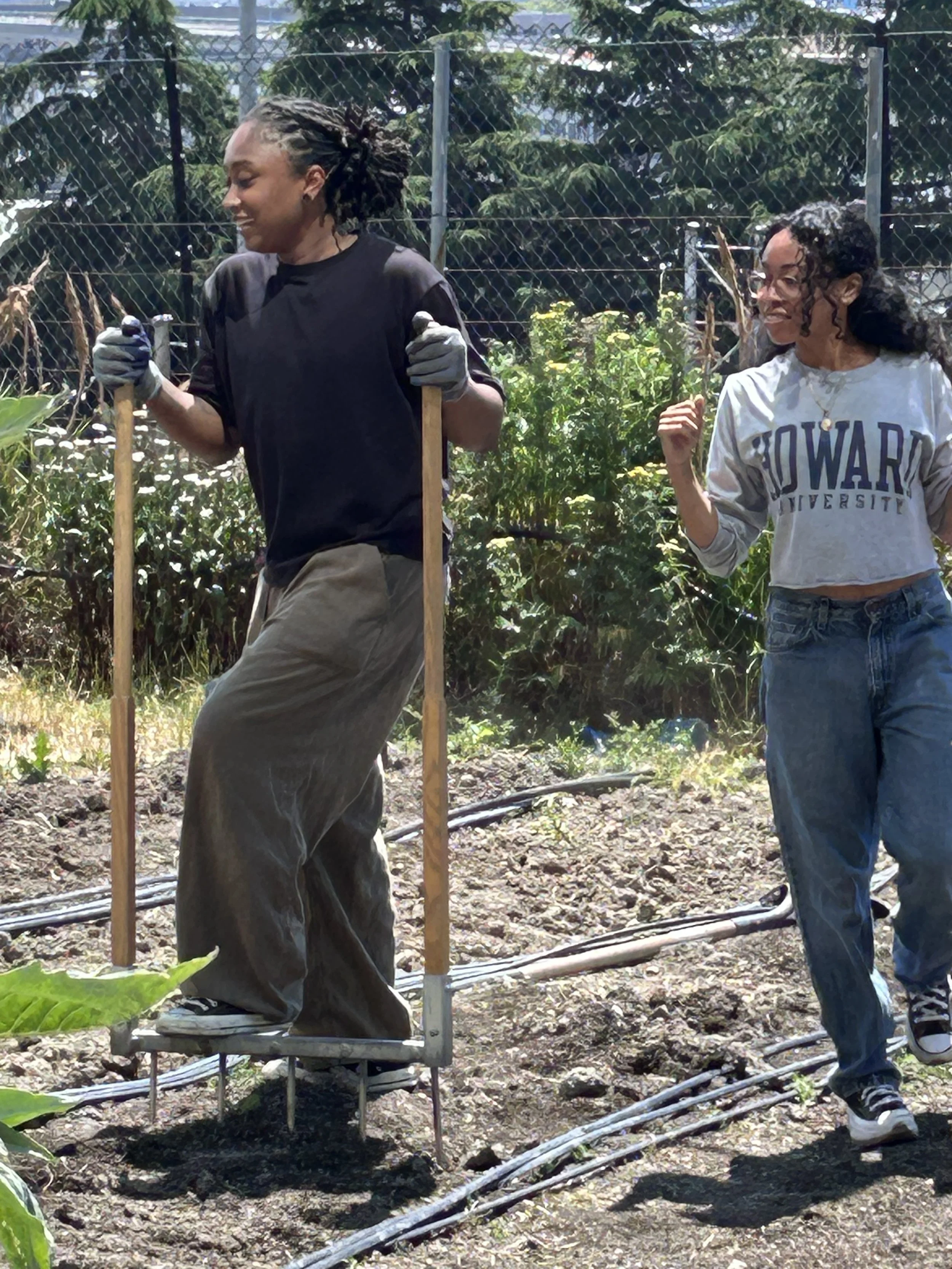 Our Farms — Black Farmers Collective