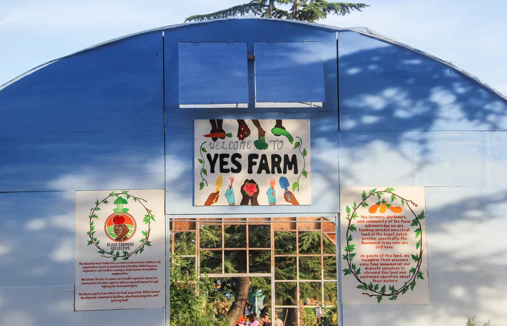 Black Farmers Collective