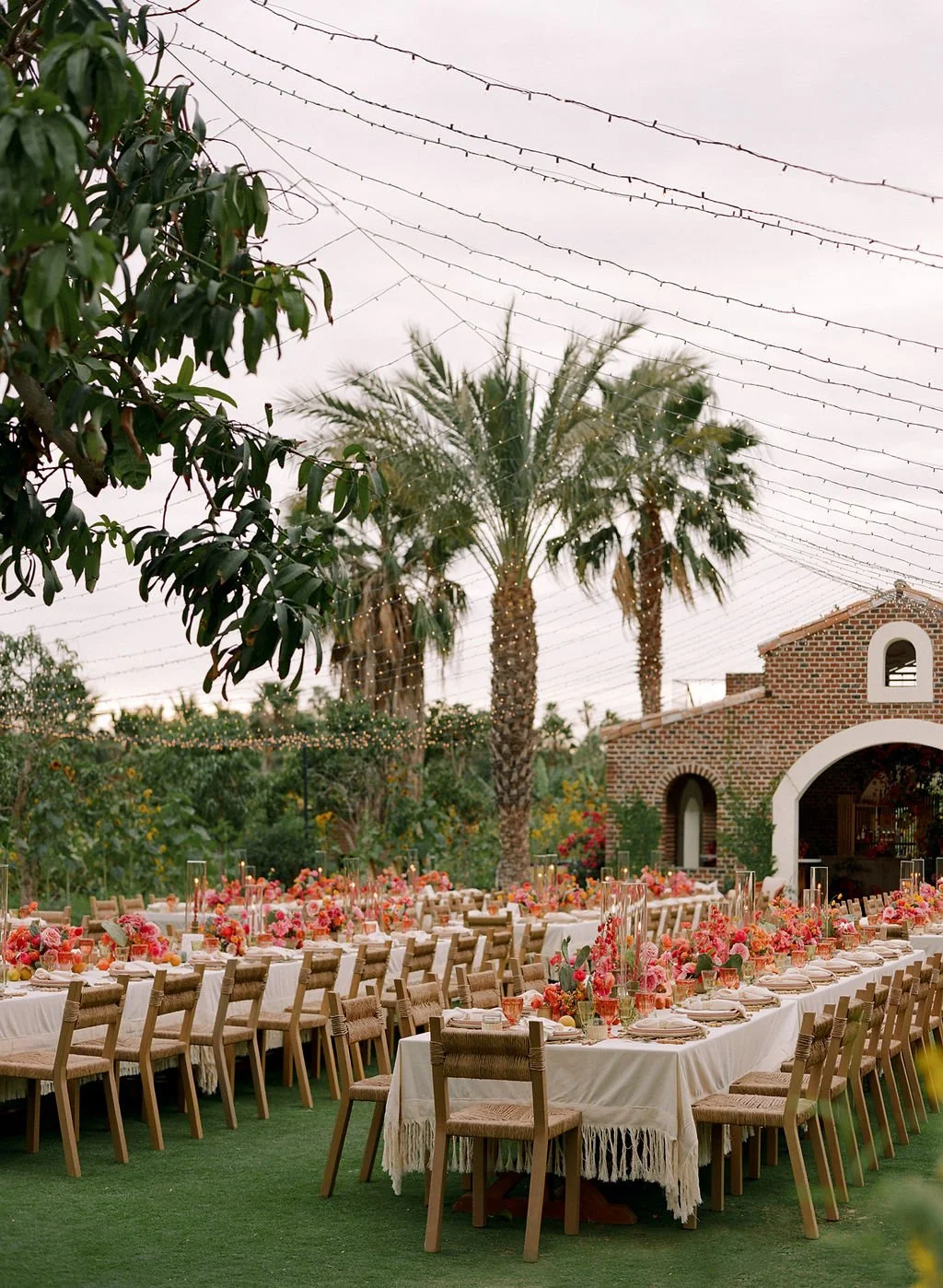 Colorful Cabo Festive Event — Lisa Vorce