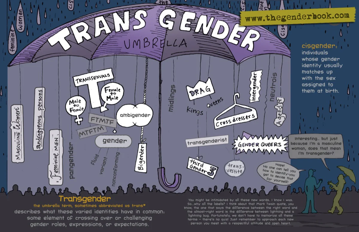 pages from the GENDER book — the GENDER book
