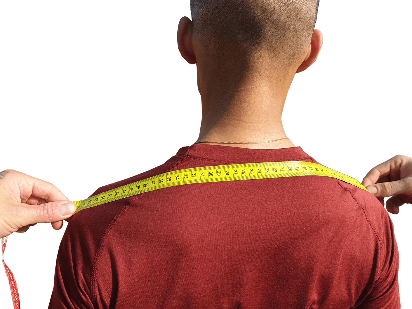 Take Your Measurements — Fabrics Of The Water Dragon