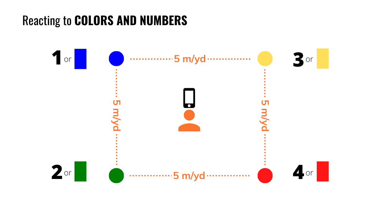 Reactive Agility Test for Basketball Players — SwitchedOn