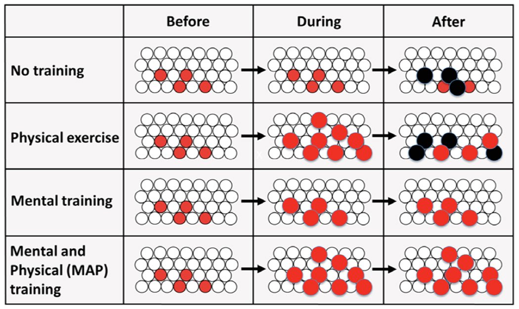 The Best Exercise for Brain Health: A Guide to Cognitive-Motor Training for Older Adults ...