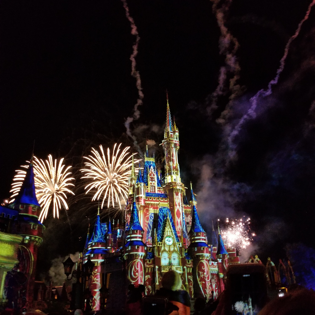 Virtual Field Trip - Disney World — World of Wonder Travel