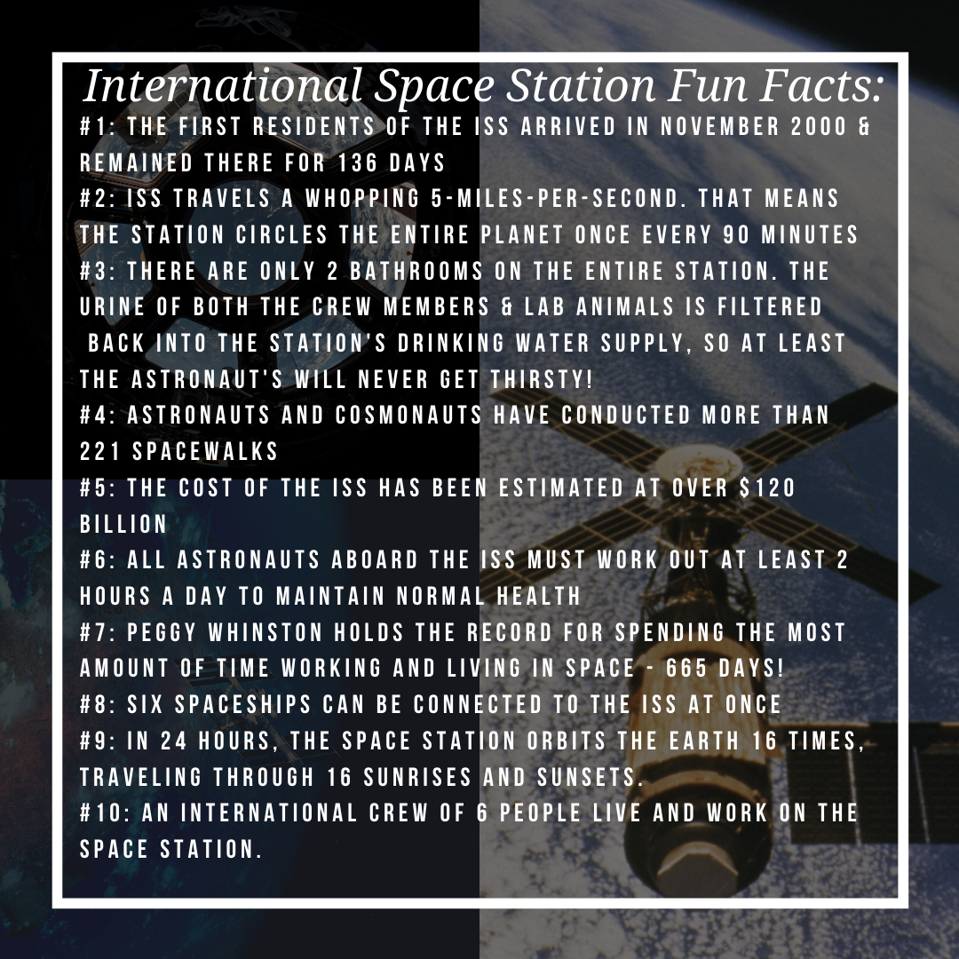 Virtual Field Trip: International Space Station — World of Wonder Travel