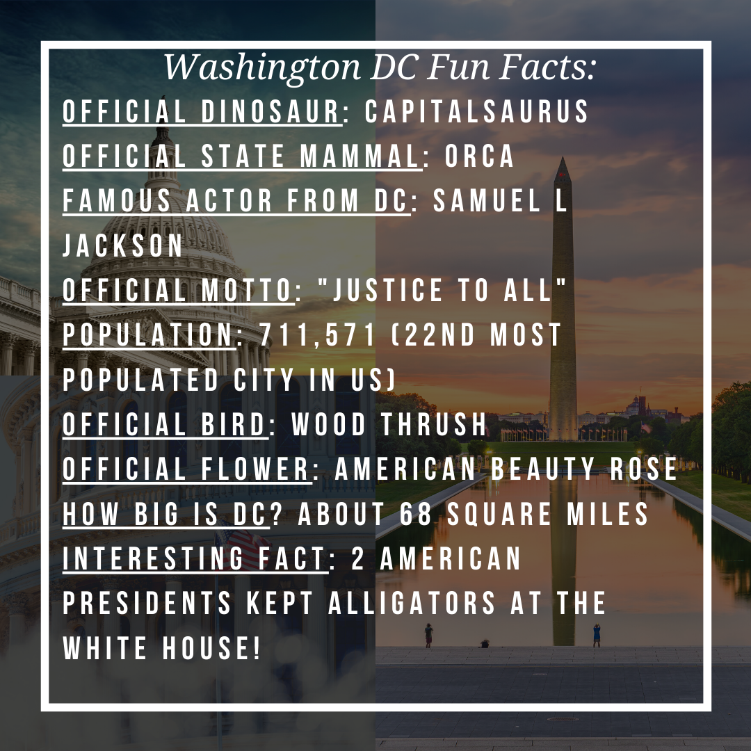 Virtual Field Trip - Washington DC — World of Wonder Travel