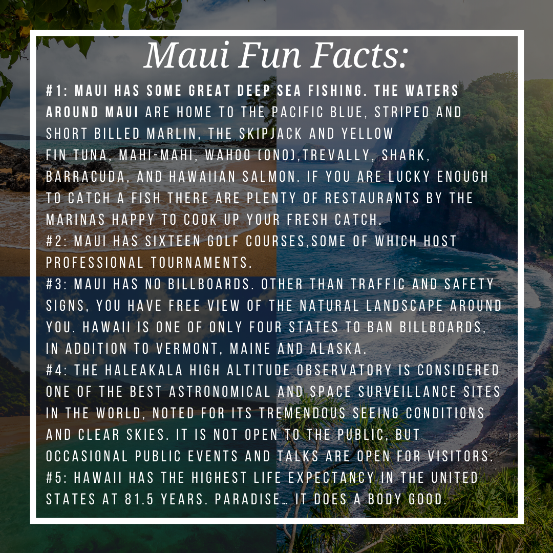 Virtual Field Trip - Maui — World of Wonder Travel