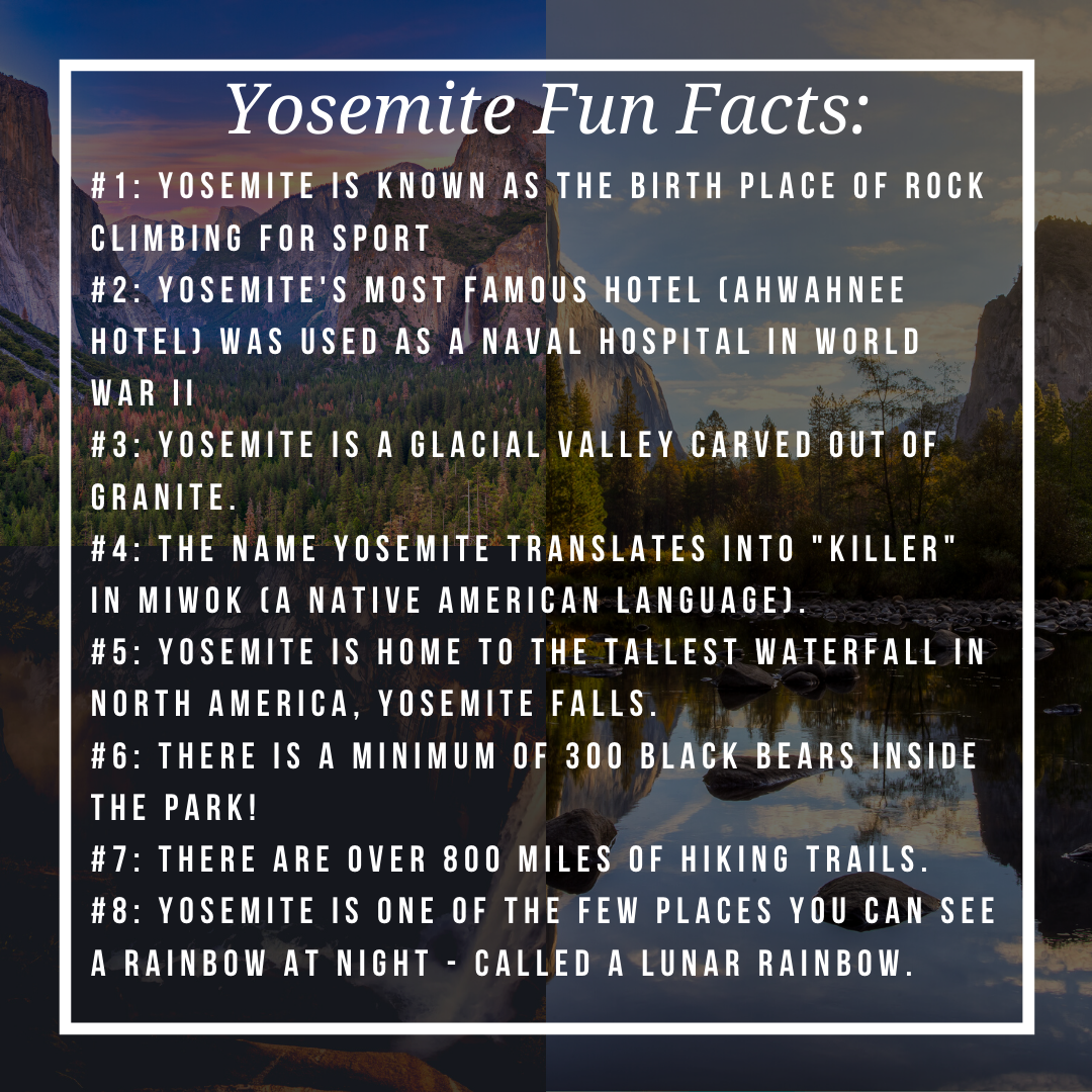 Virtual Field Trip - Yosemite — World of Wonder Travel