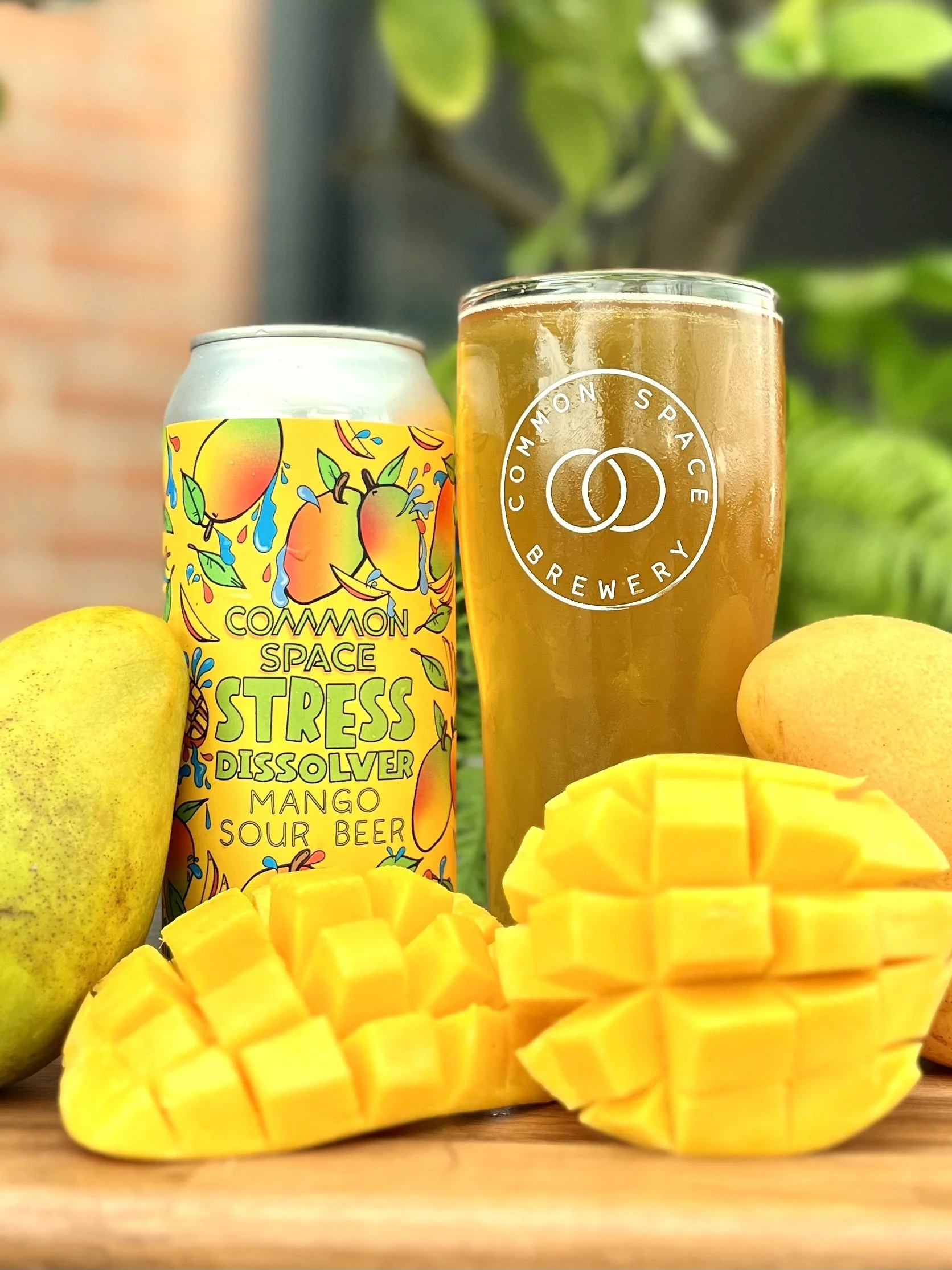 Brewery Products — Common Space Brewery