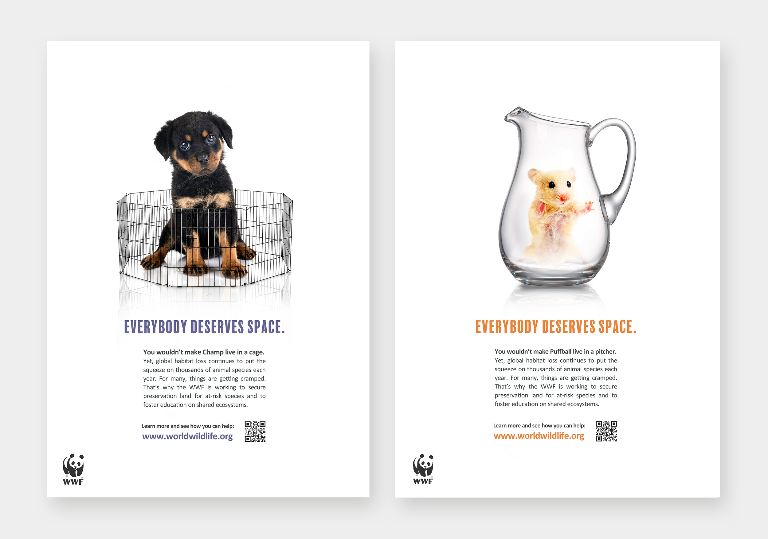 WWF Conservation Campaign — Giermann Graphics