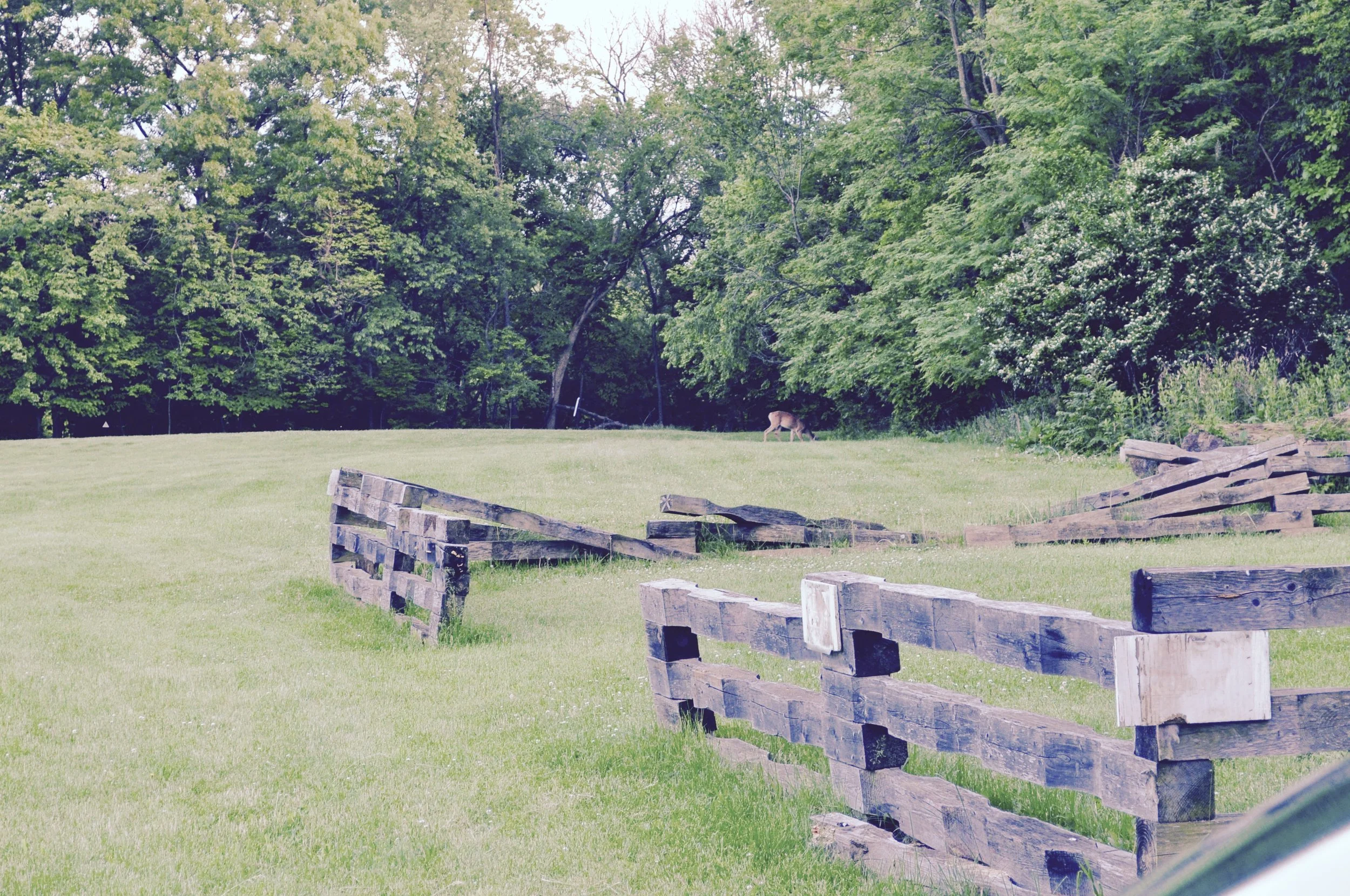 Village of Creve Coeur