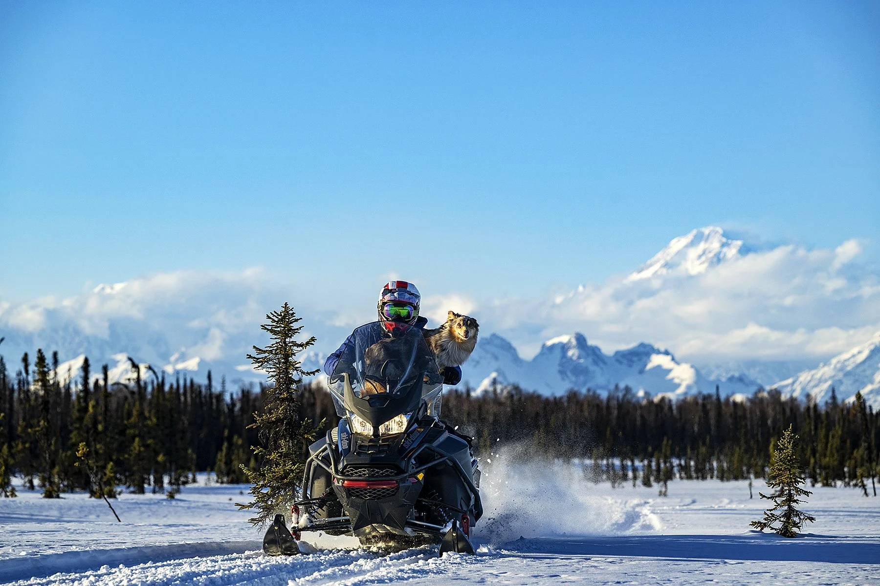 Chris McLennan Photography — Alaska Winter Photo Tour