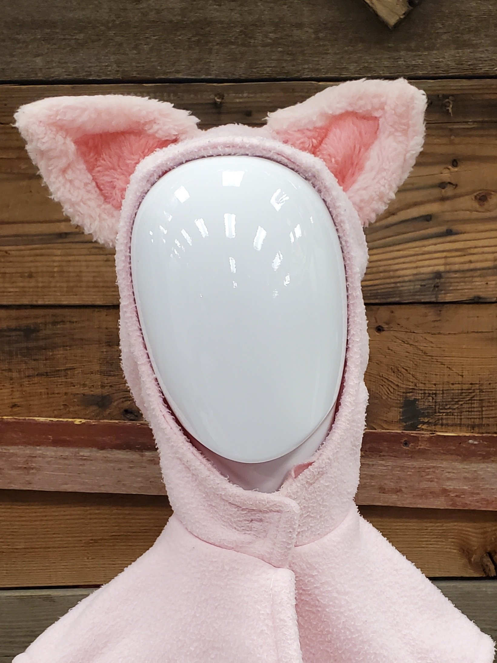 Shrek — Rose Costumes