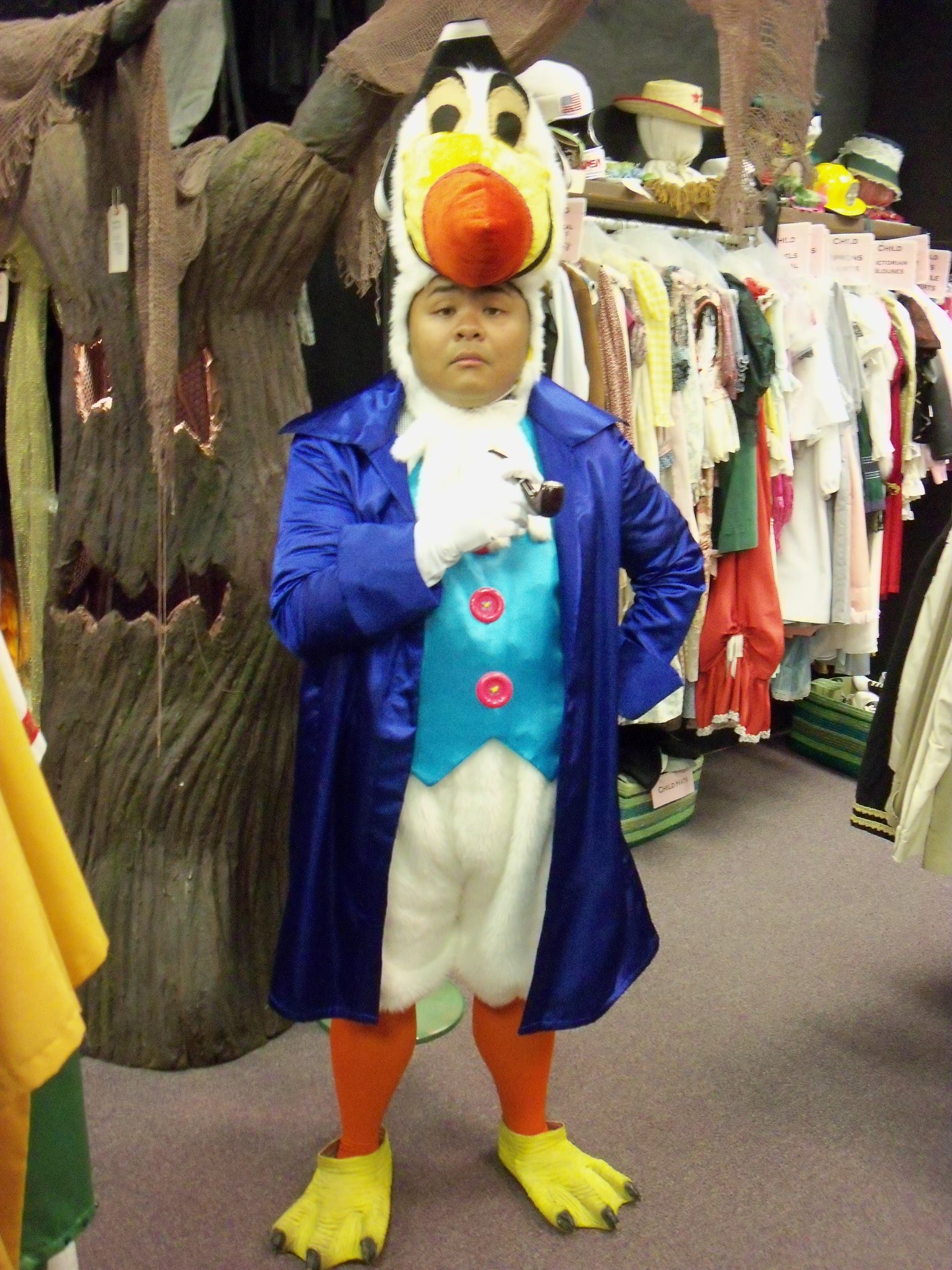 Dodo Alice In Wonderland Costume