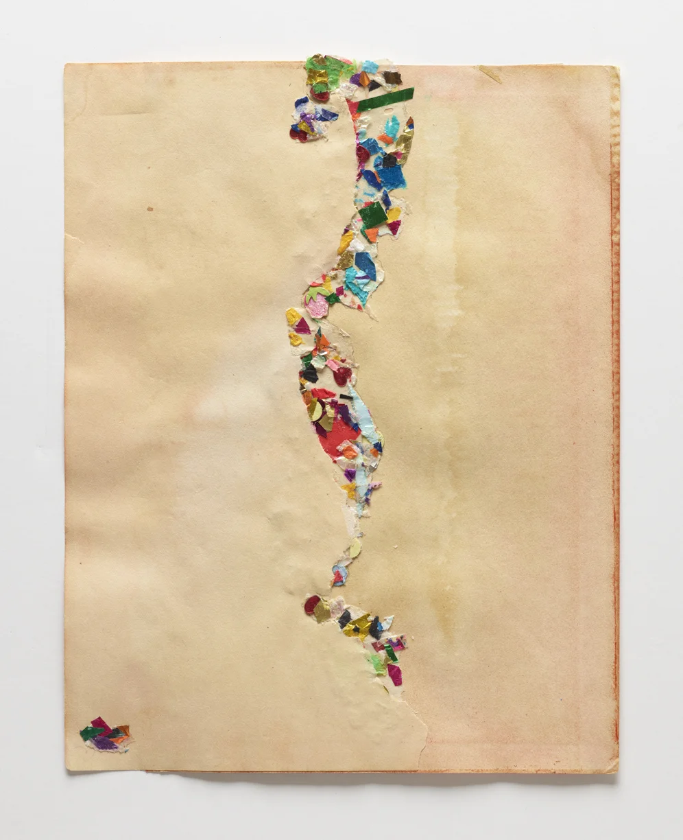 COLLAGE — Jeanette O'Connor