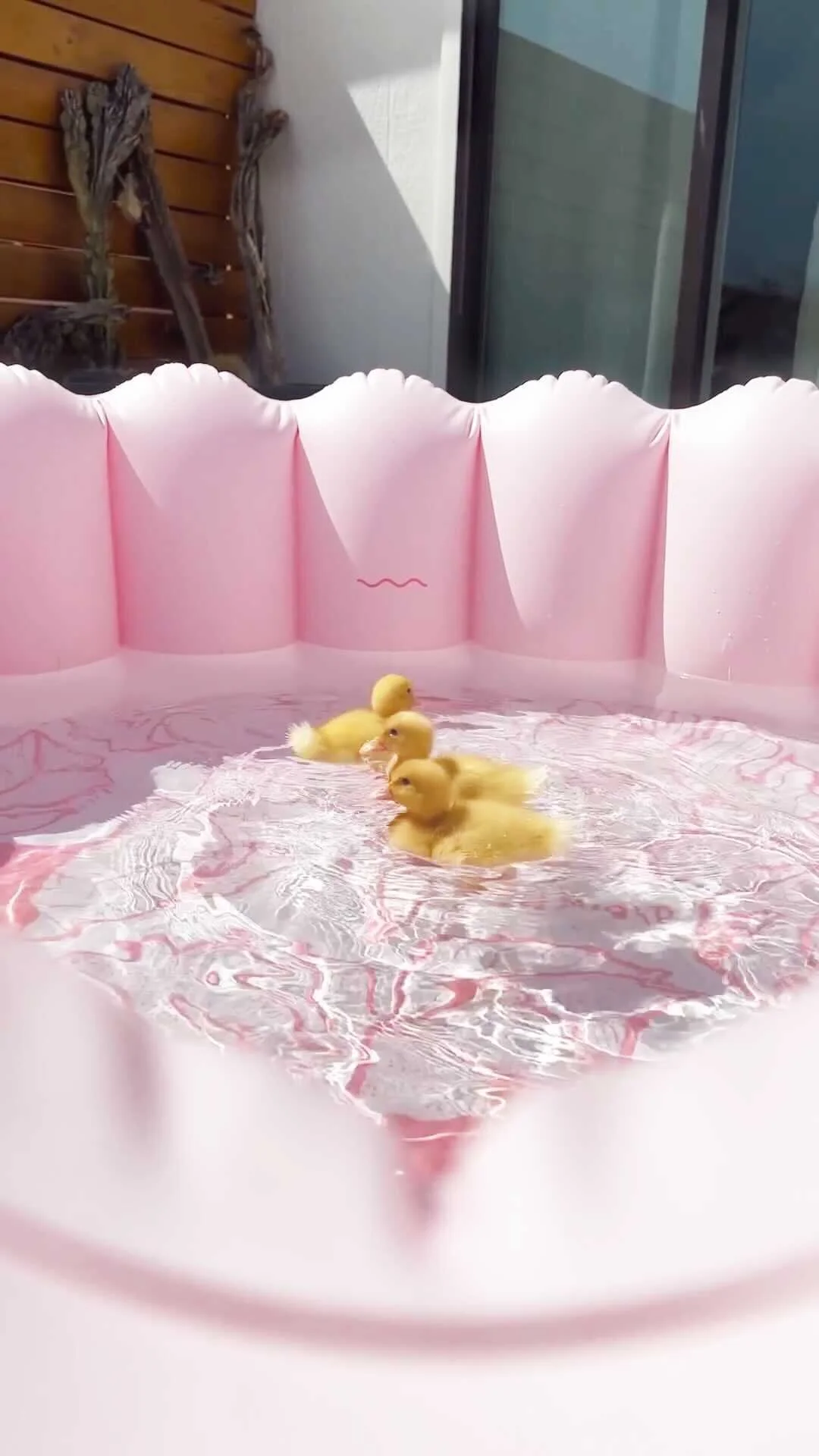 POOL FL(AIR)™ in CANDY RING (HOLOGRAPHIC GLITTER) — MINNIDIP LUXE ...