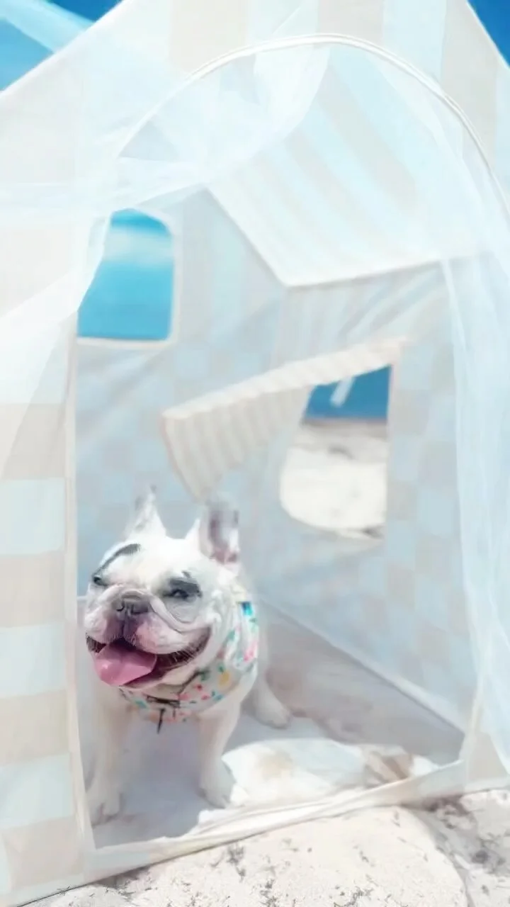 POOL FL(AIR)™ in CANDY RING (HOLOGRAPHIC GLITTER) — MINNIDIP LUXE ...