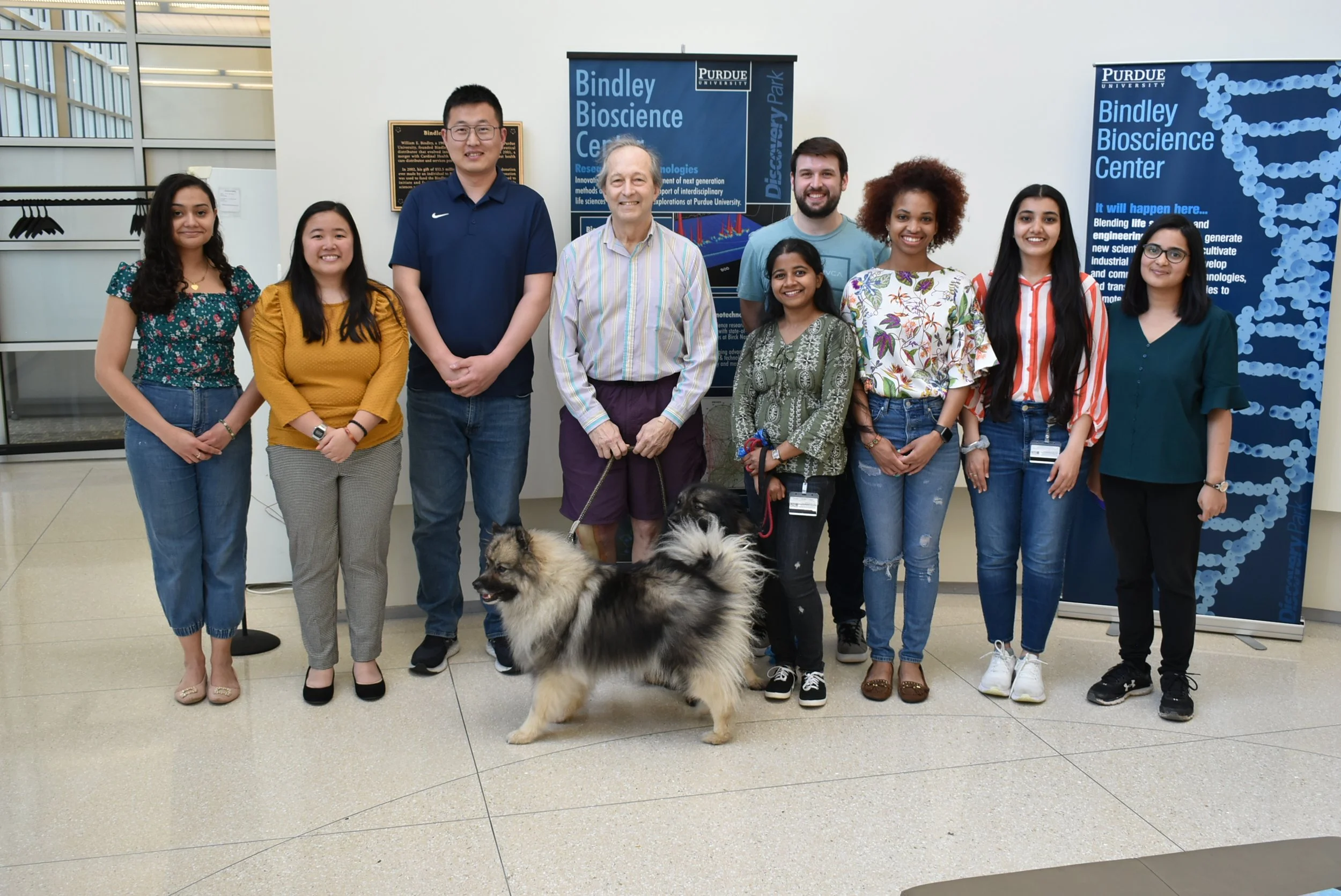 David Thompson Group