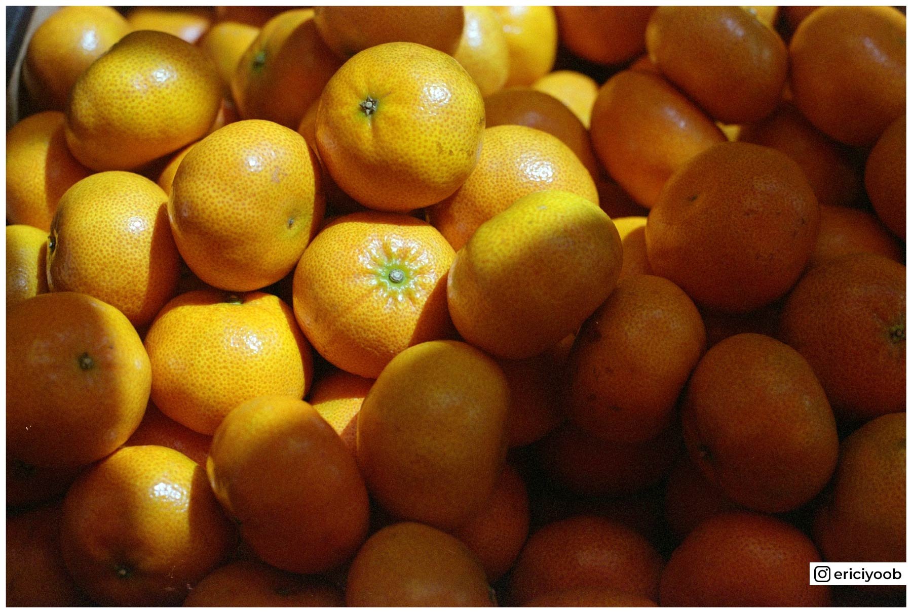 Film — Midwest Film Co