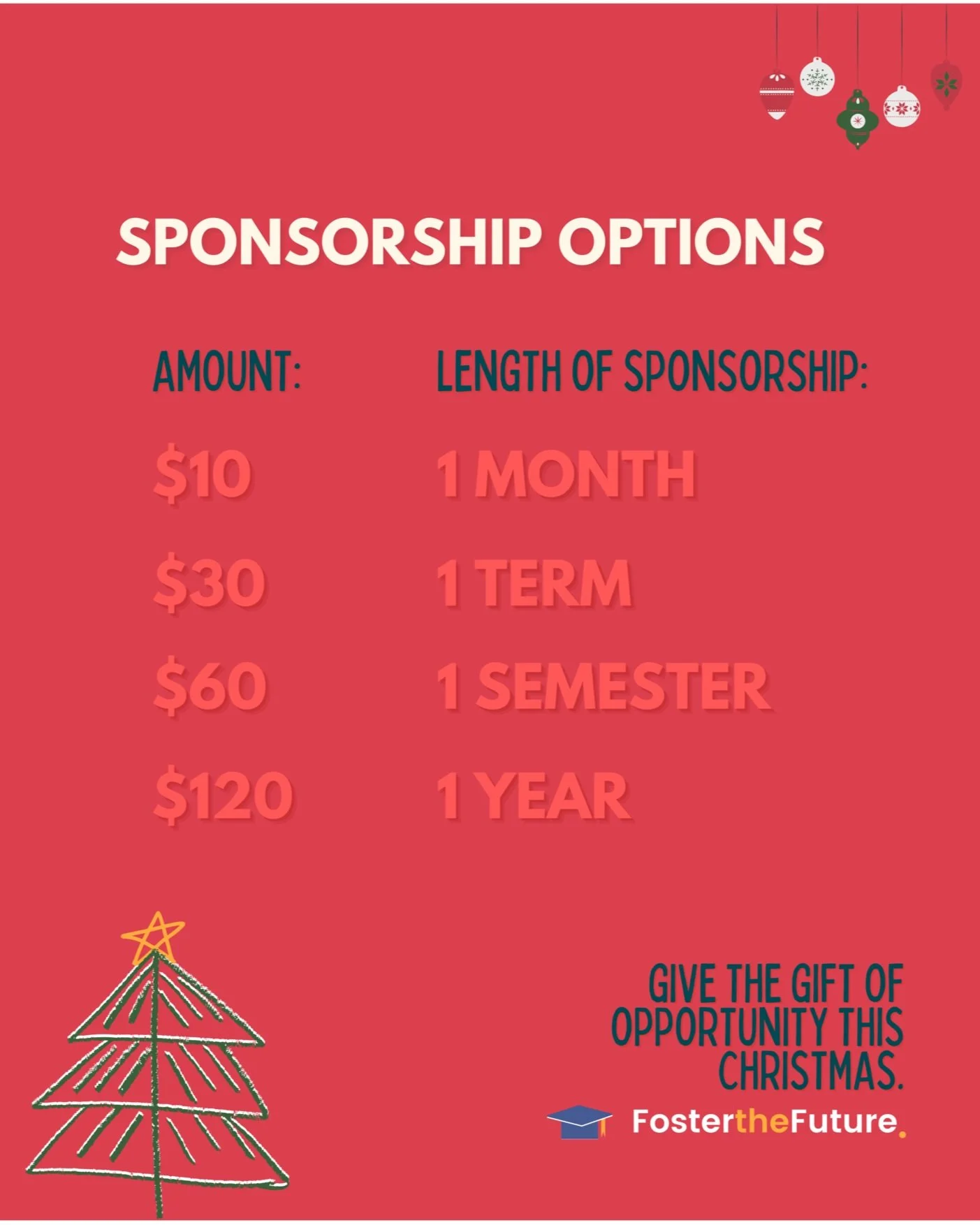 Sponsor-A-Student Christmas Campaign — Foster the Future