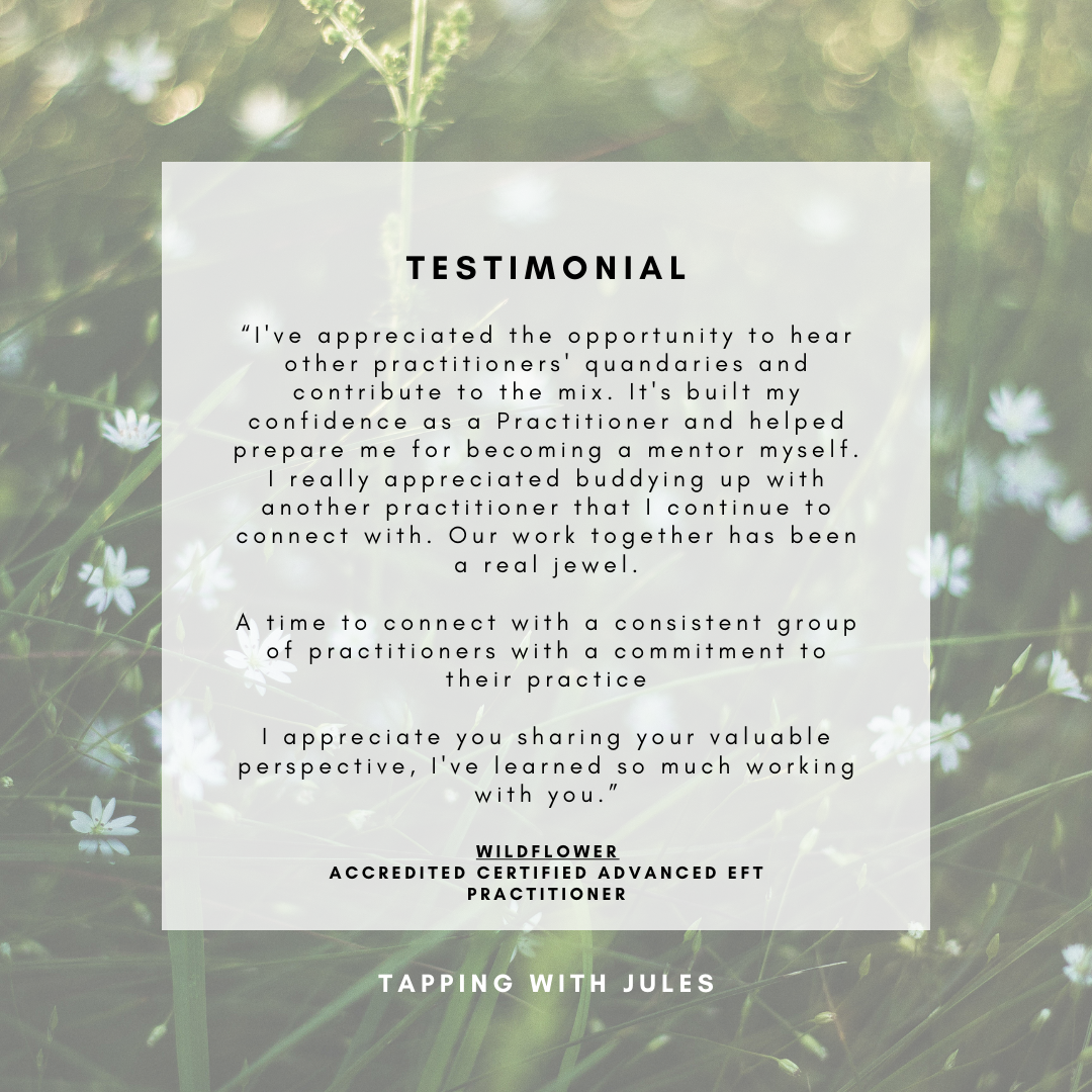 EFT Mentoring — Jules Vandermaat