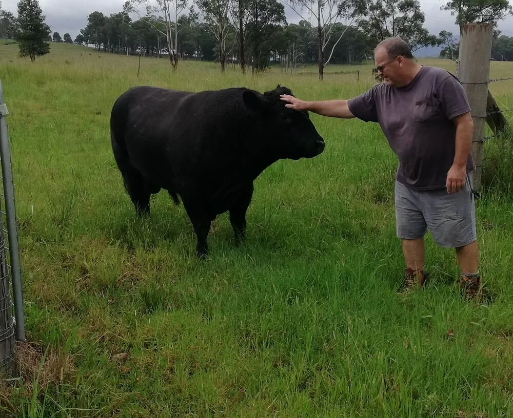 Benefits — Markwell Valley Lowlines